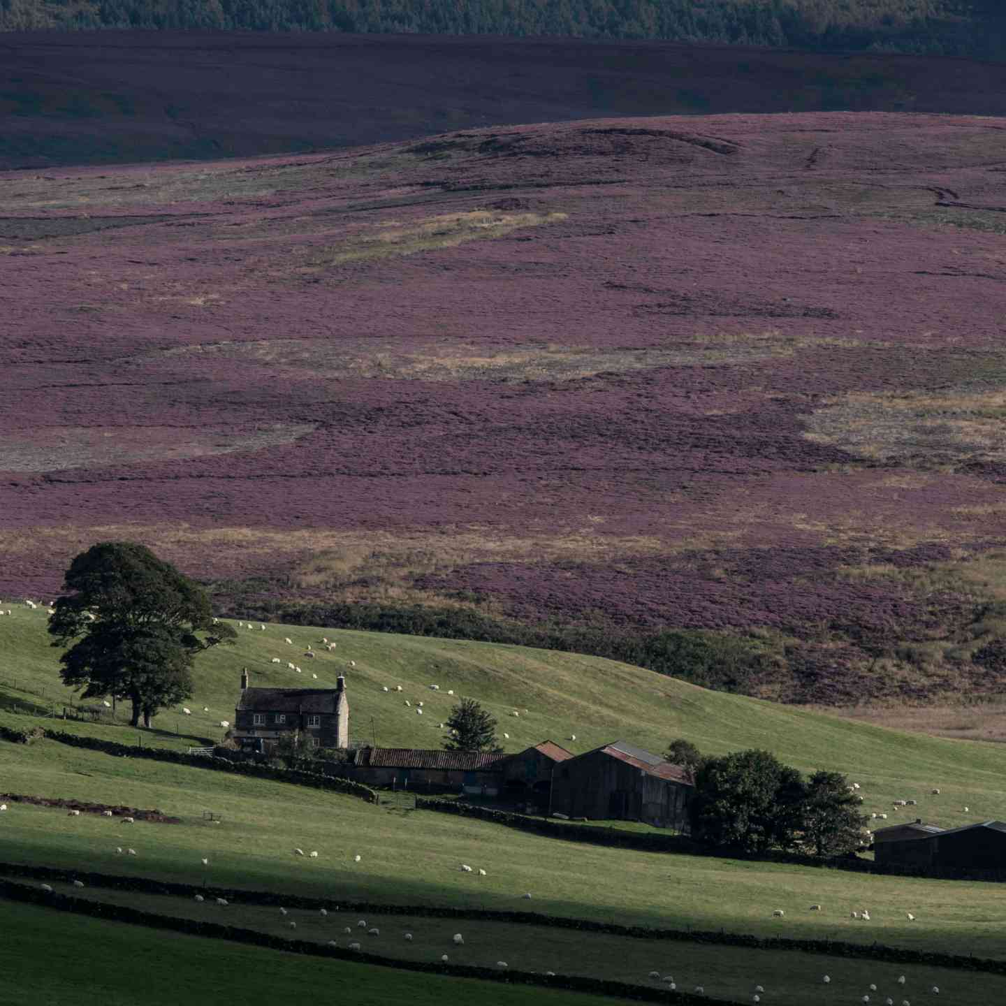 Making Music on the Moors at Ayriel Studios – The Cross-Eyed Pianist