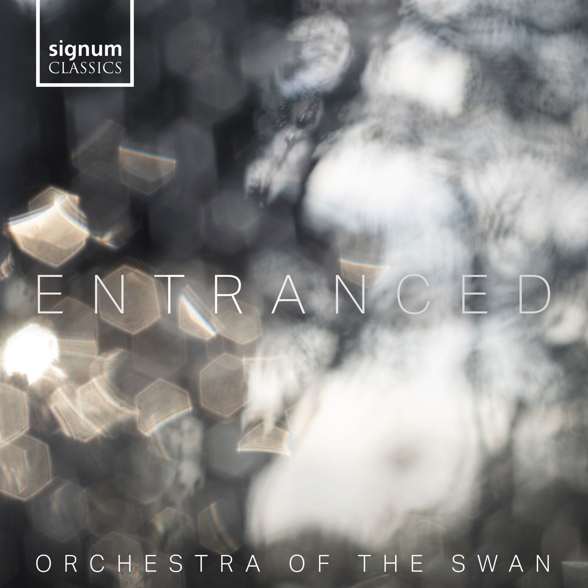 Shimmering, immersive soundscapes from the Orchestra of the Swan – The ...